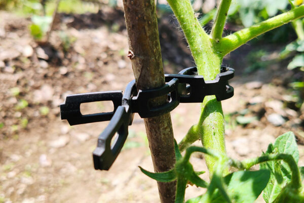 Exploring the Various Types of Tree Ties: Advantages and Disadvantages ...